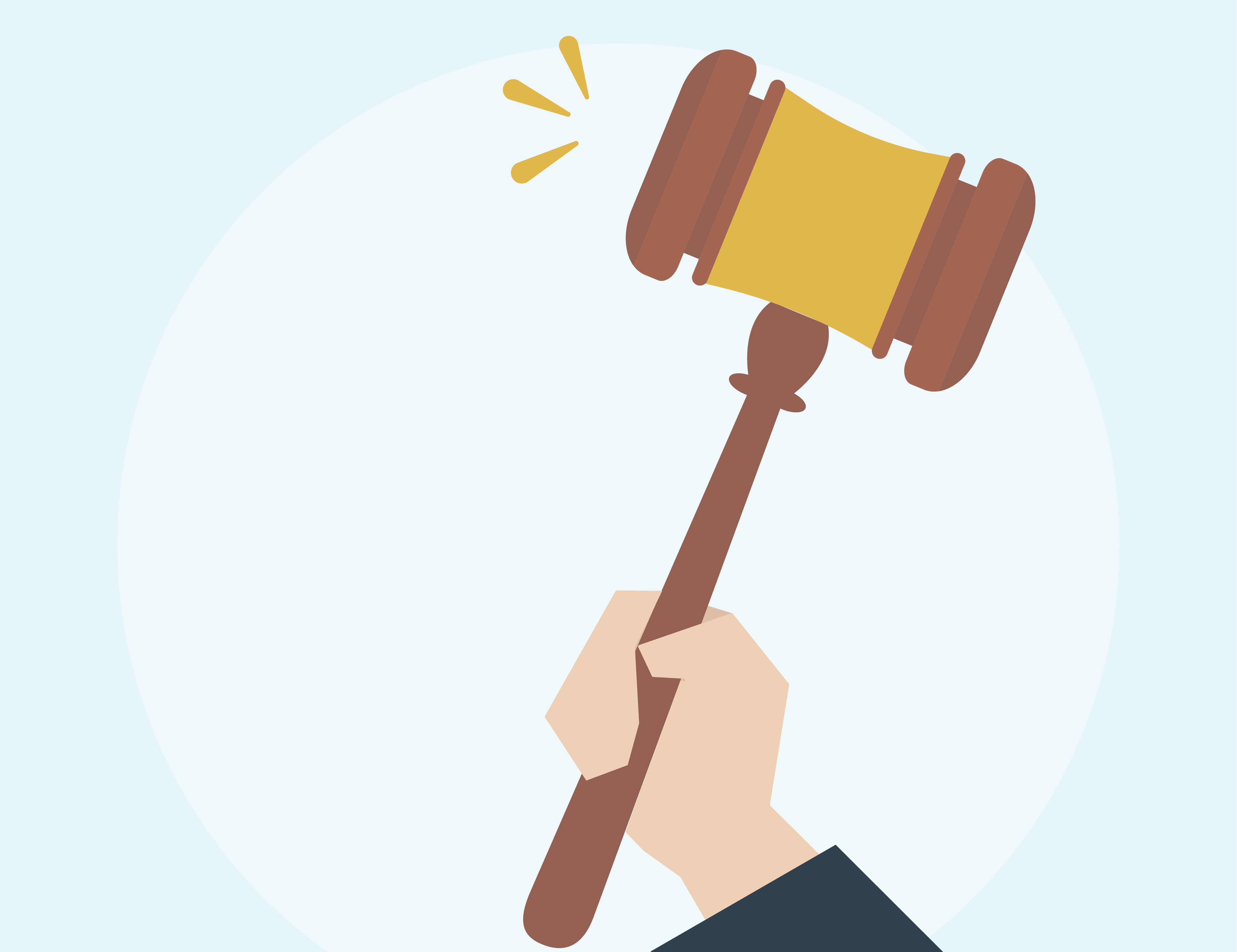 Quer ofertar um lance? Descubra como e quando!